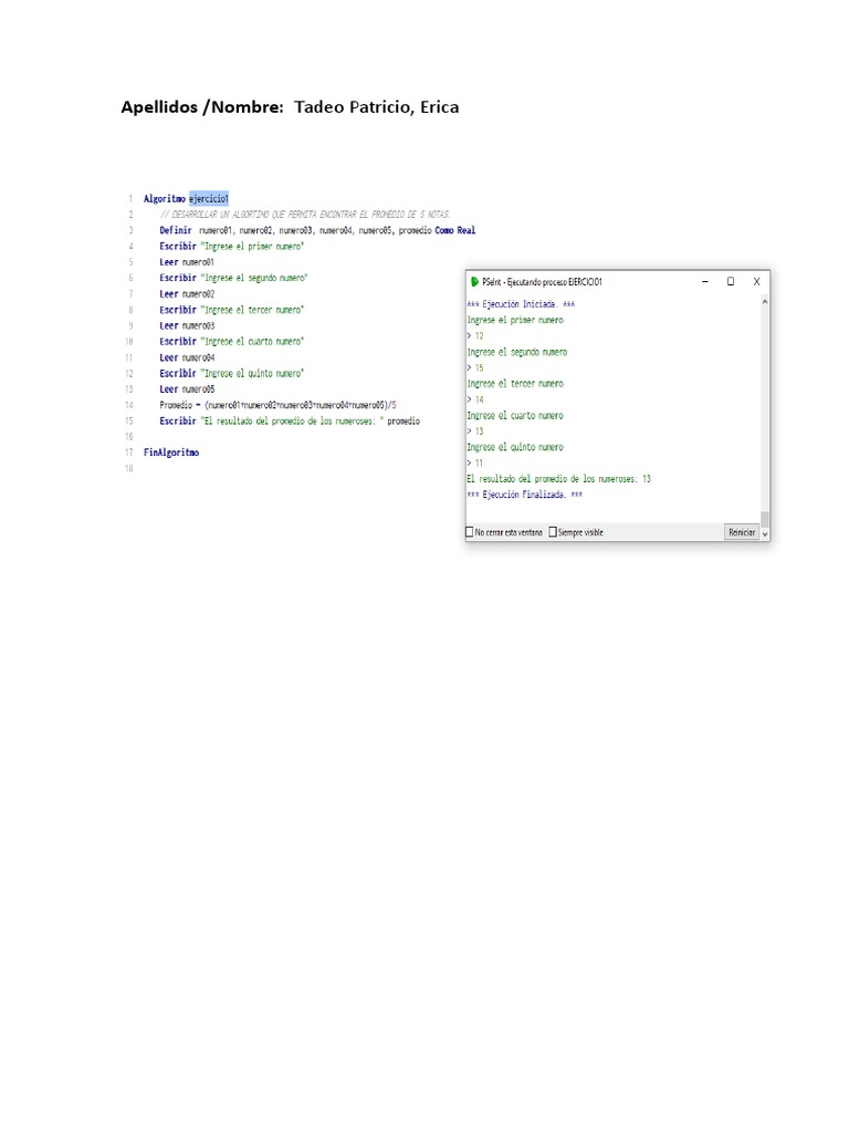 Trabajo de Algoritmo Erica TP | PDF