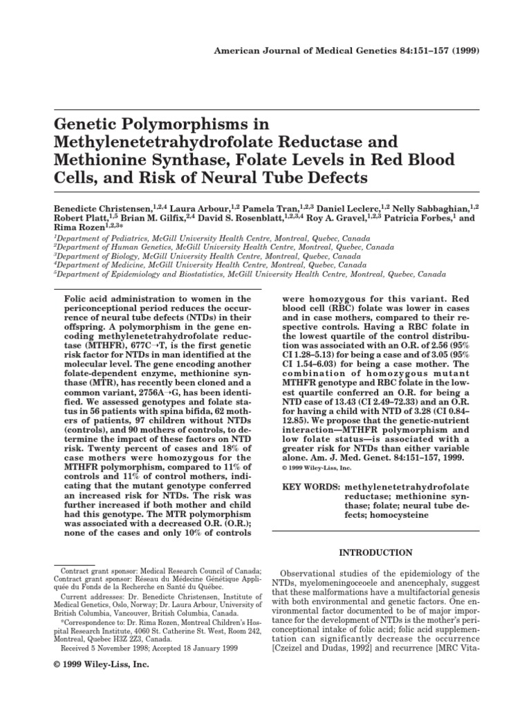 Christensen 1999 | PDF | Vitamin B12