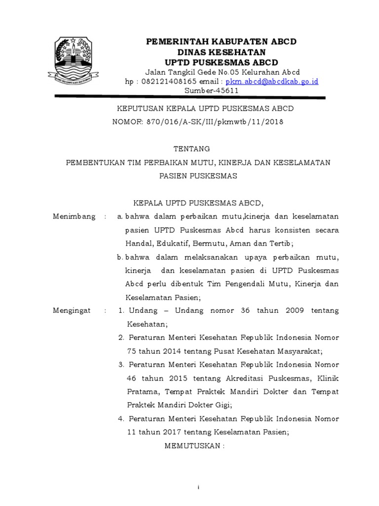 SK Pembentukan TIM Mutu Pelayanan | PDF