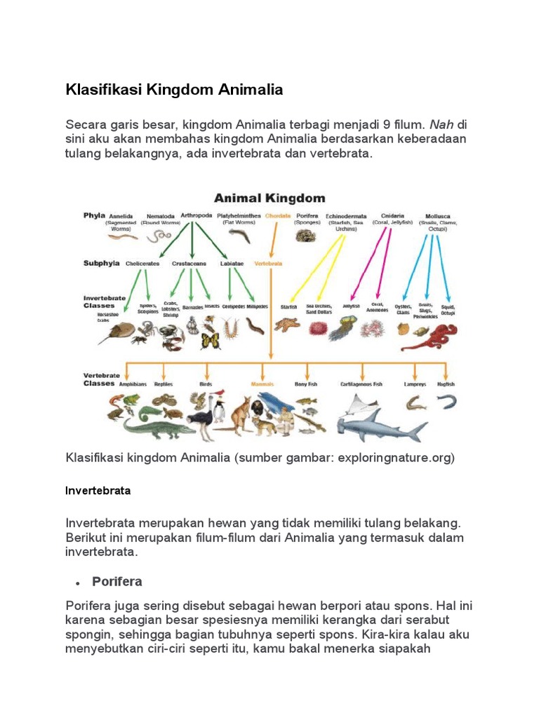 Klasifikasi Kingdom Animalia | PDF
