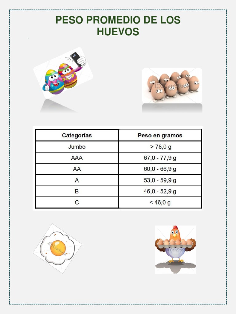 Peso Promedio de Los Huevos | PDF