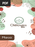 Guia Digital Champú Sólidos Taller | PDF | Tensioactivo | Champú