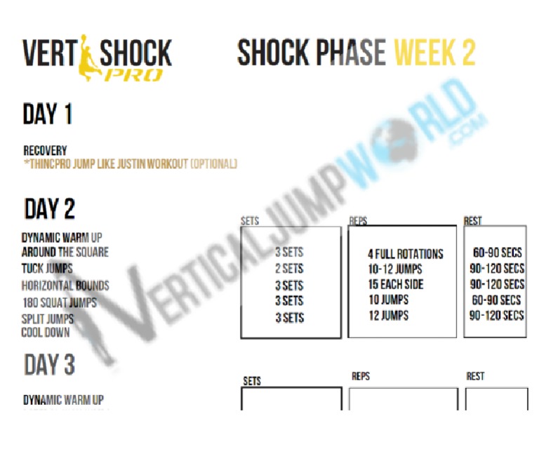 Vert Shock Shock Phase PDF Download Free | PDF