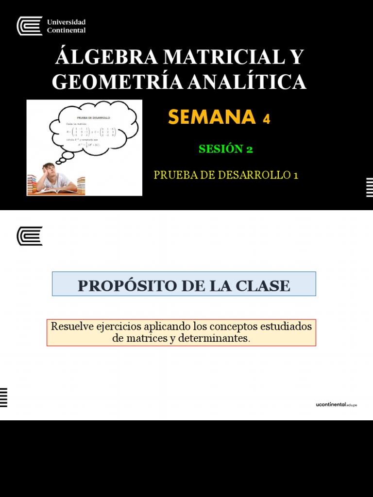 Sem 4 - S2 - Prueba de Desarrollo | PDF