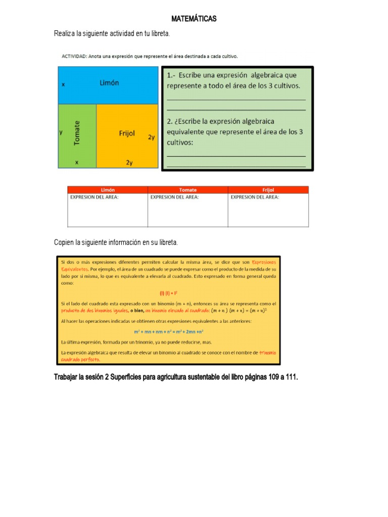 Matemáticas Realiza La Siguiente Actividad en Tu Libreta | PDF