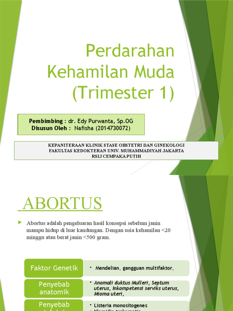Perdarahan Kehamilan Muda (Trimester 1) | PDF