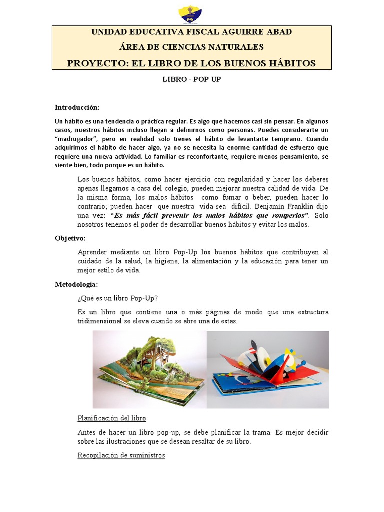 Proyecto Pop Up | PDF