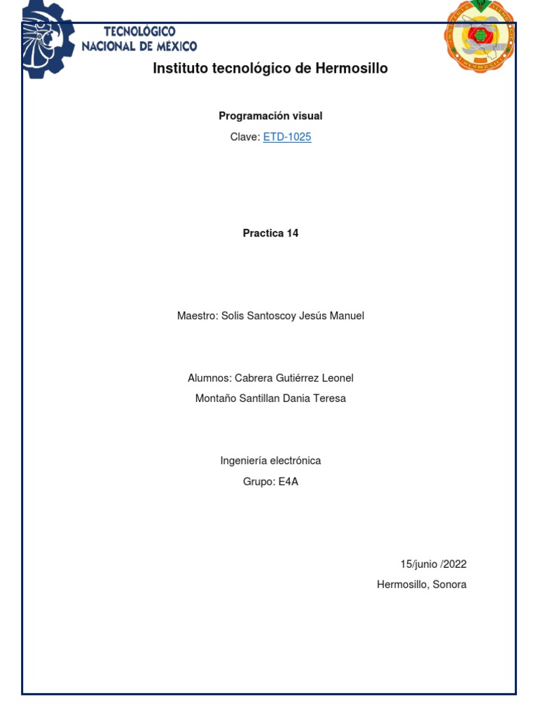 Practica 14 Programación Visual | PDF