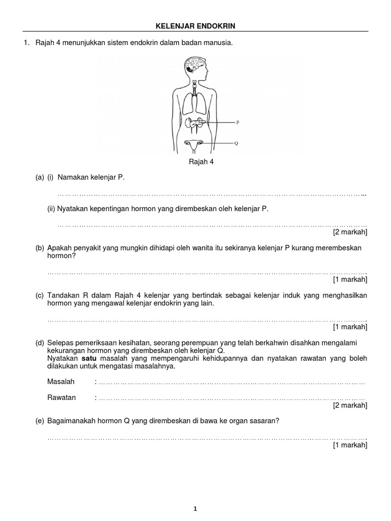 Pecutan Akhir Sains K2B | PDF