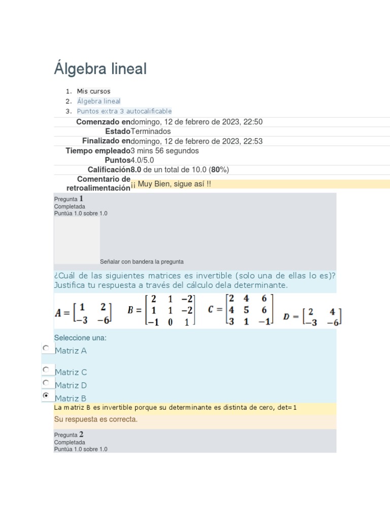 Álgebra Lineal Extra 3 | PDF | Matriz (Matemáticas) | Determinante