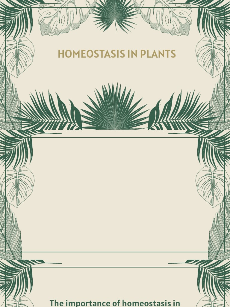Homeostasis in Plants | PDF