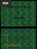 Sorin Group s5 Catalog | PDF | Sensor | Pump