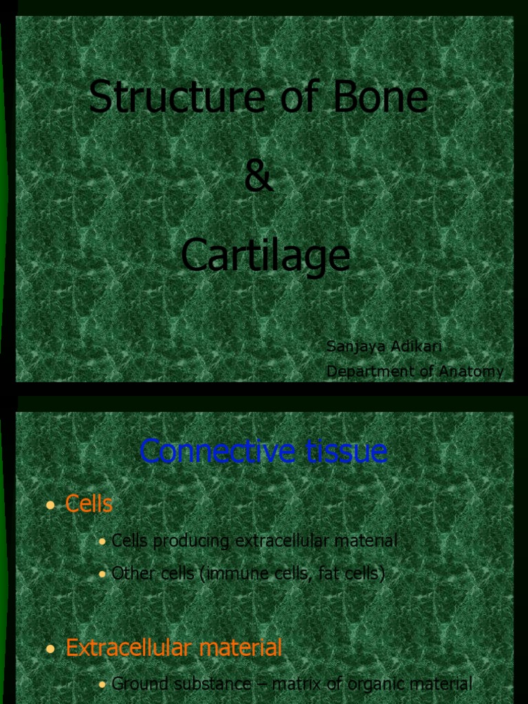 The Structure and Growth of Bone and Cartilage | PDF | Bone | Cartilage