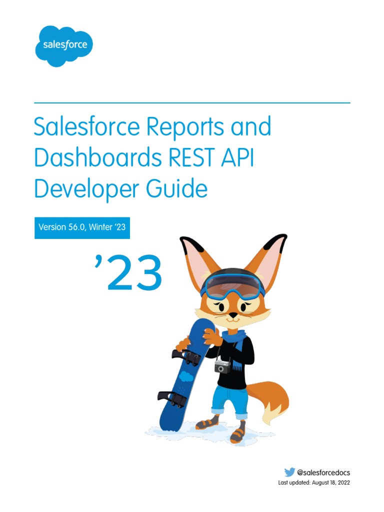 Salesforce Analytics Rest Api Pdf String Computer Science 5004