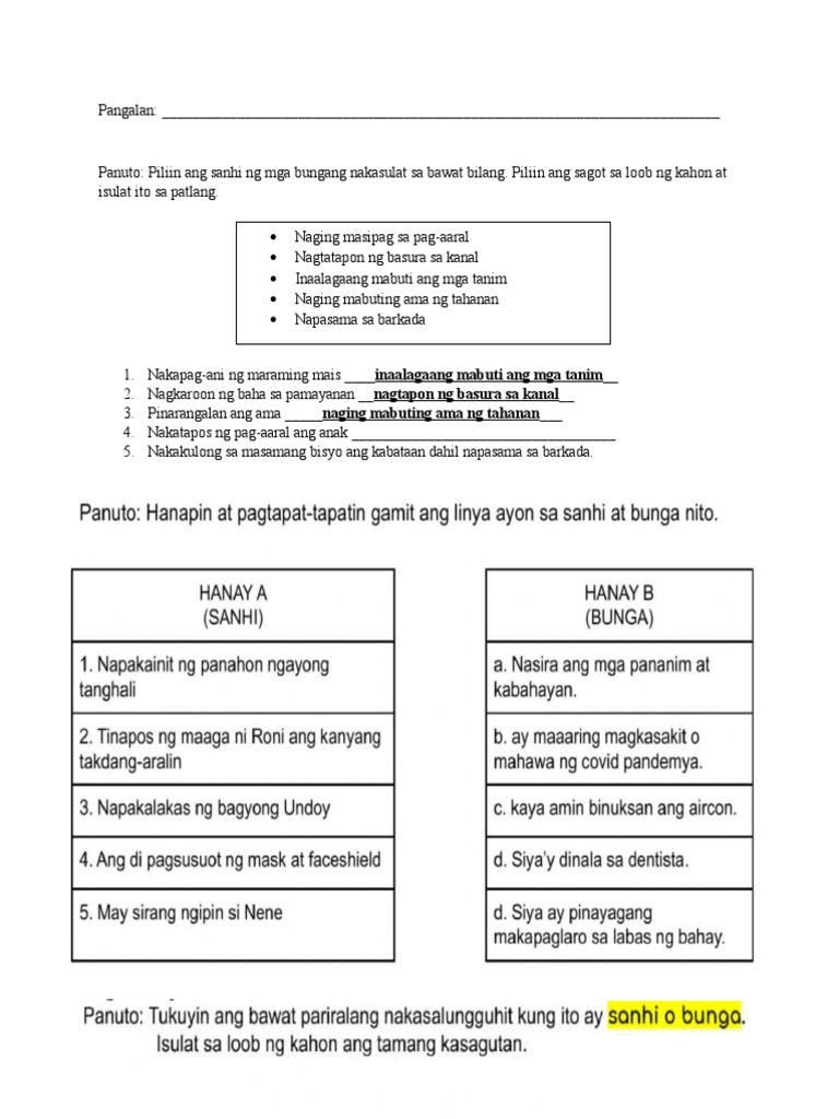 Sanhi At Bunga Pdf