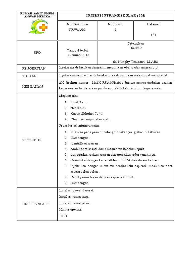 Injeksi IM | PDF
