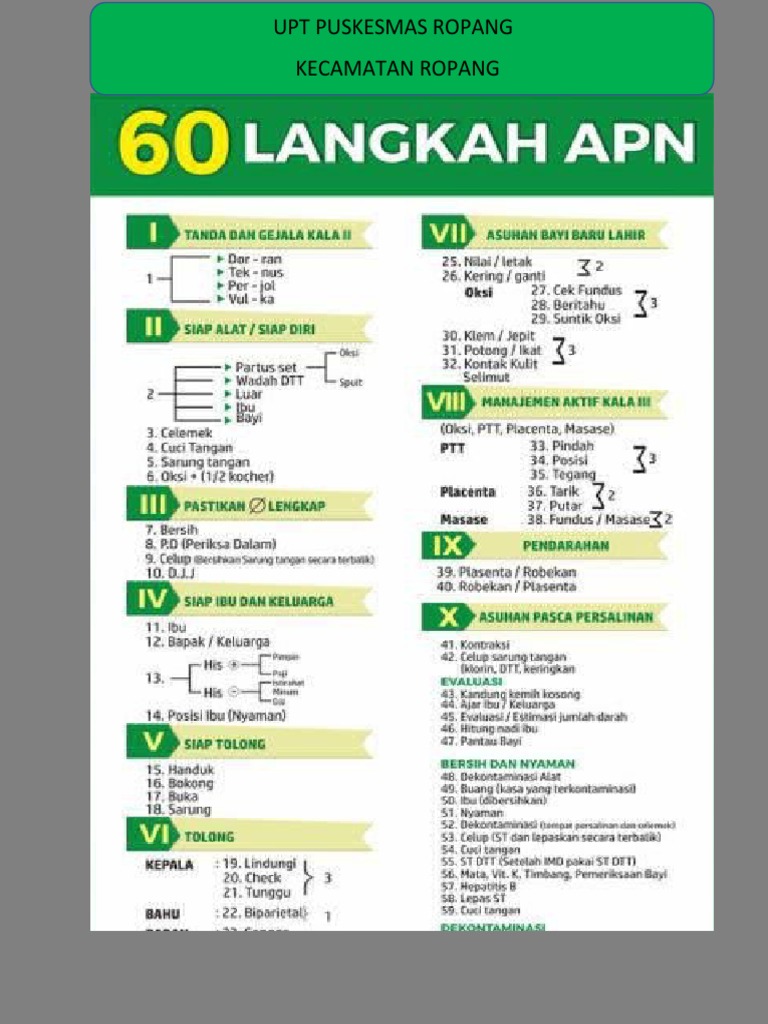 60 Apn | PDF
