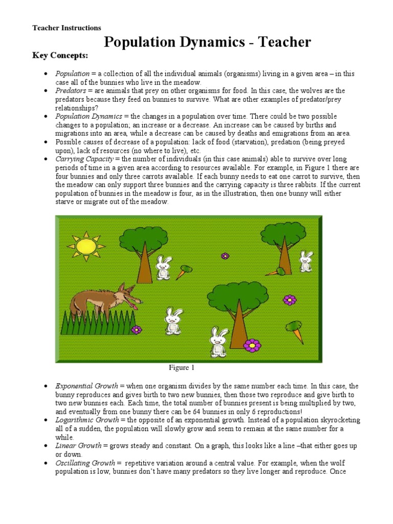 Predator Prey Lab - Teacher | PDF | Gray Wolf | Predation