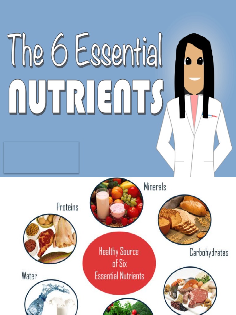 Chapter 1 Six Essential Nutrients (Macro & Micronutrients) | PDF | Fat ...