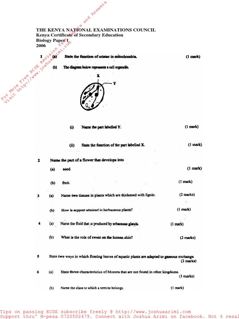 Tips on Passing the Kenya Certificate of Secondary Education (KCSE ...