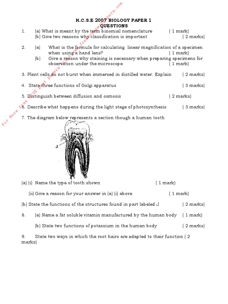 Kcse 2007 Biology Questions | PDF | Plant Stem | Blood