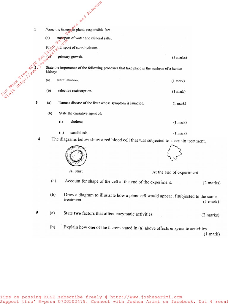 Kcse 2008 Biology p1 | PDF