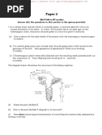 Savonia Reppu Reporting Instructions | PDF | Thesis | Theory