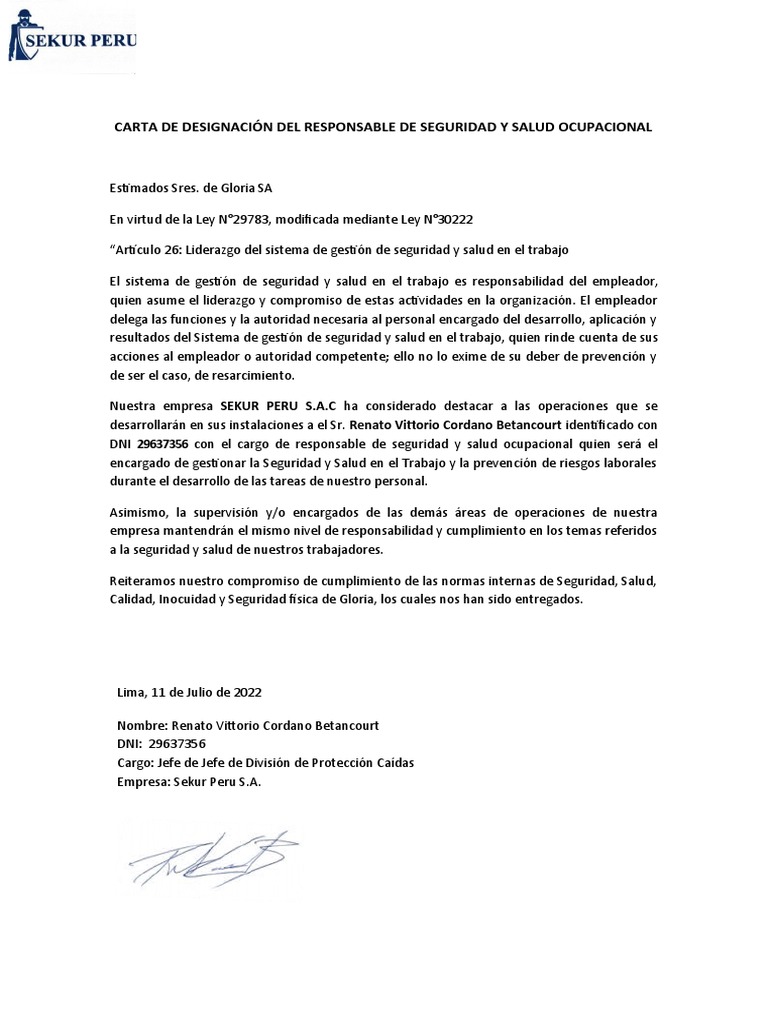 CARTA DE DESIGNACIÓN DEL RESPONSABLE DE SEGURIDAD Y SALUD OCUPACIONAL | PDF | Valores ...