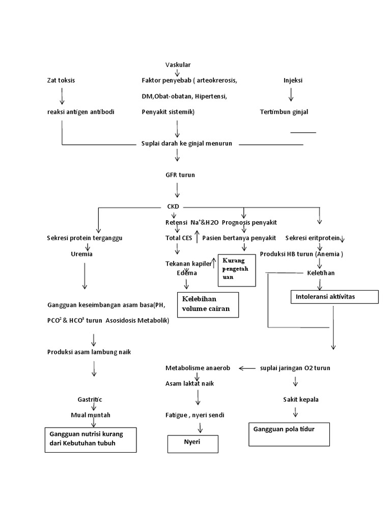 Phatway CKD Print | PDF