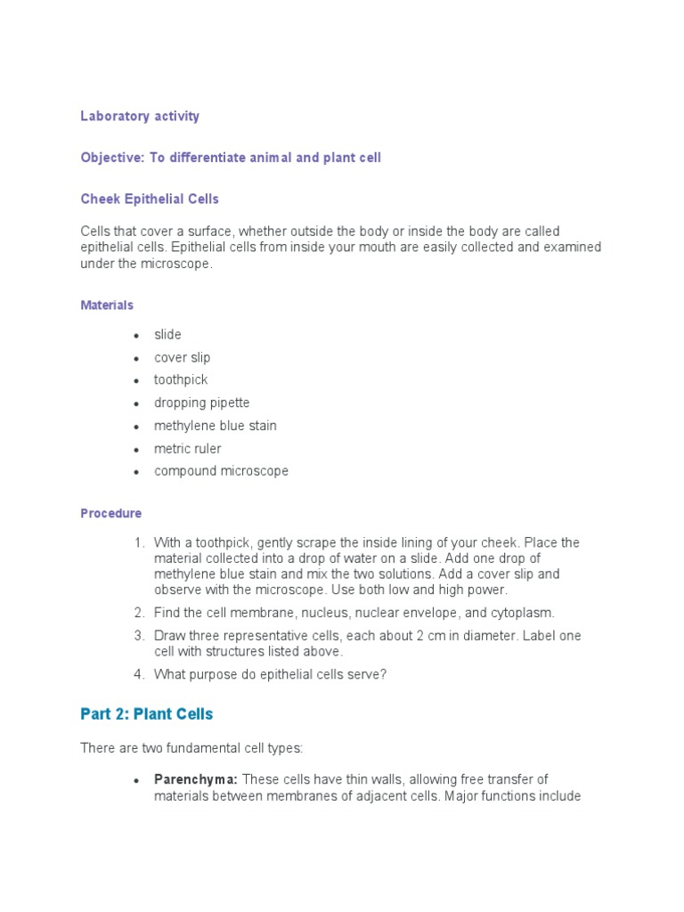 Lab Experiment 1 | PDF | Cell (Biology) | Leaf