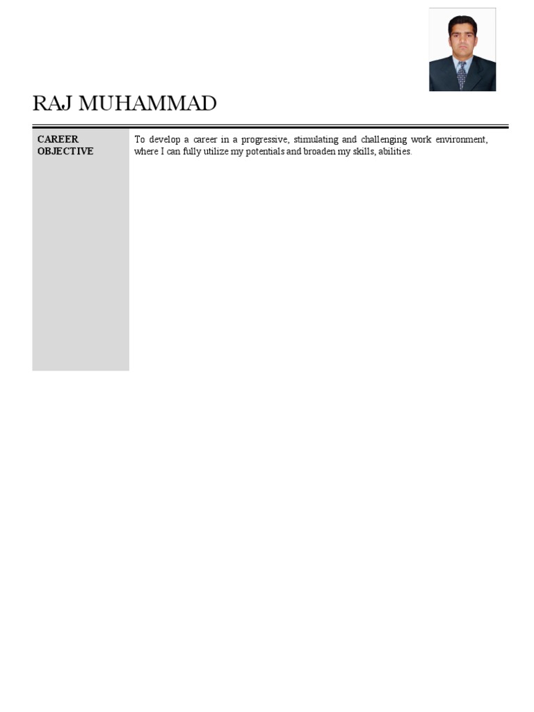 Raj CV | PDF