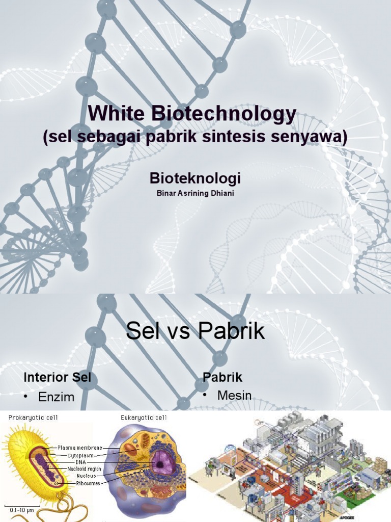 4 White Biotechnology | PDF