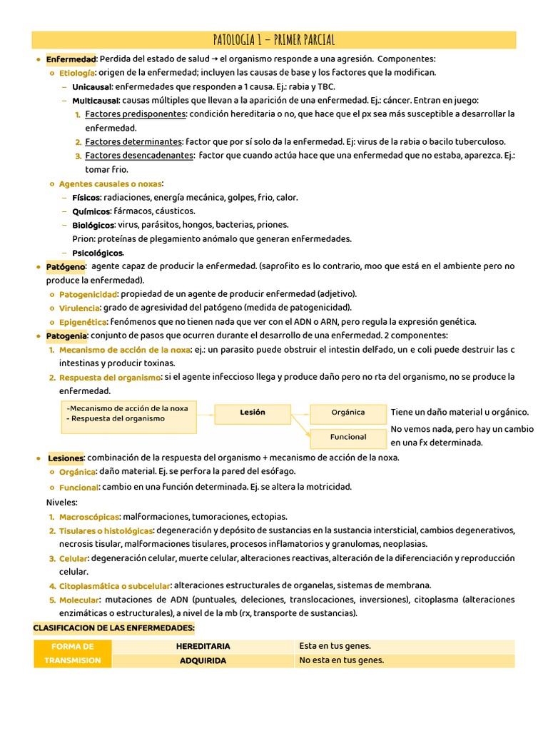Datitos 1er Parcial PARTE 1 | PDF | Sodio | Patógeno Datitos 1er Parcial PARTE 1 | PDF | Sodio | Patógeno
