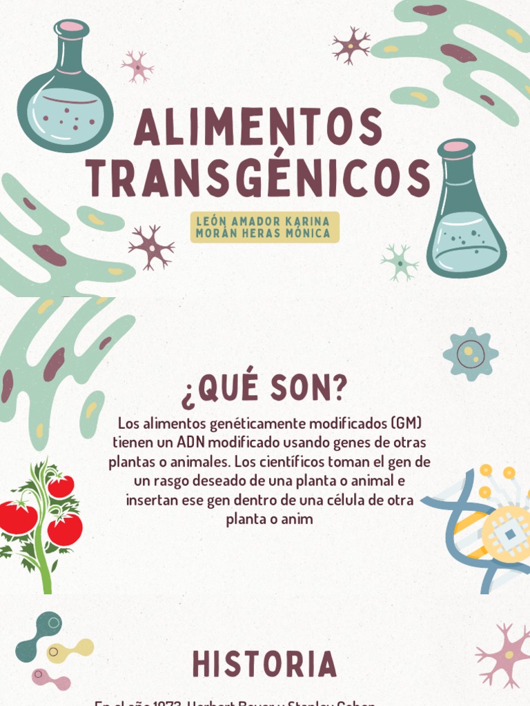 Alimentos Transgenicos | PDF | Salud y bienestar | Ciencia y matemáticas