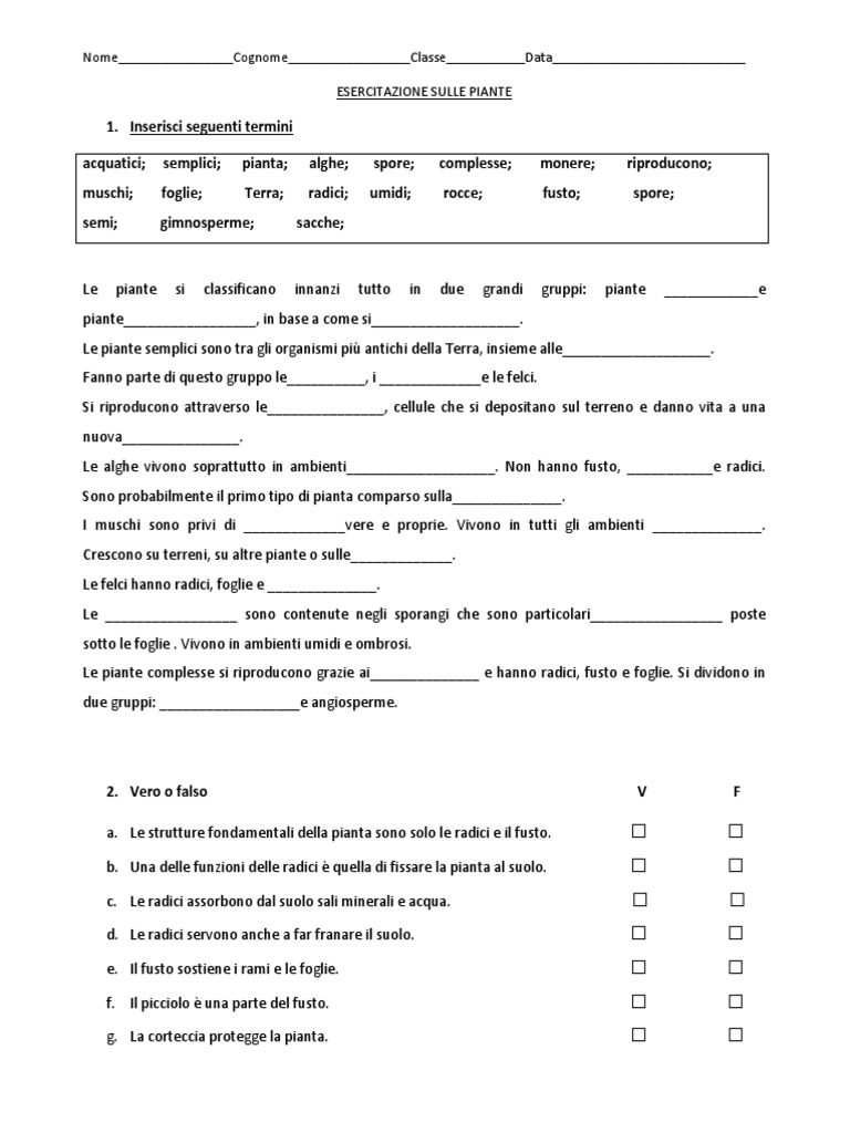 VERIFICA LE PIANTE Classe Quarta | PDF