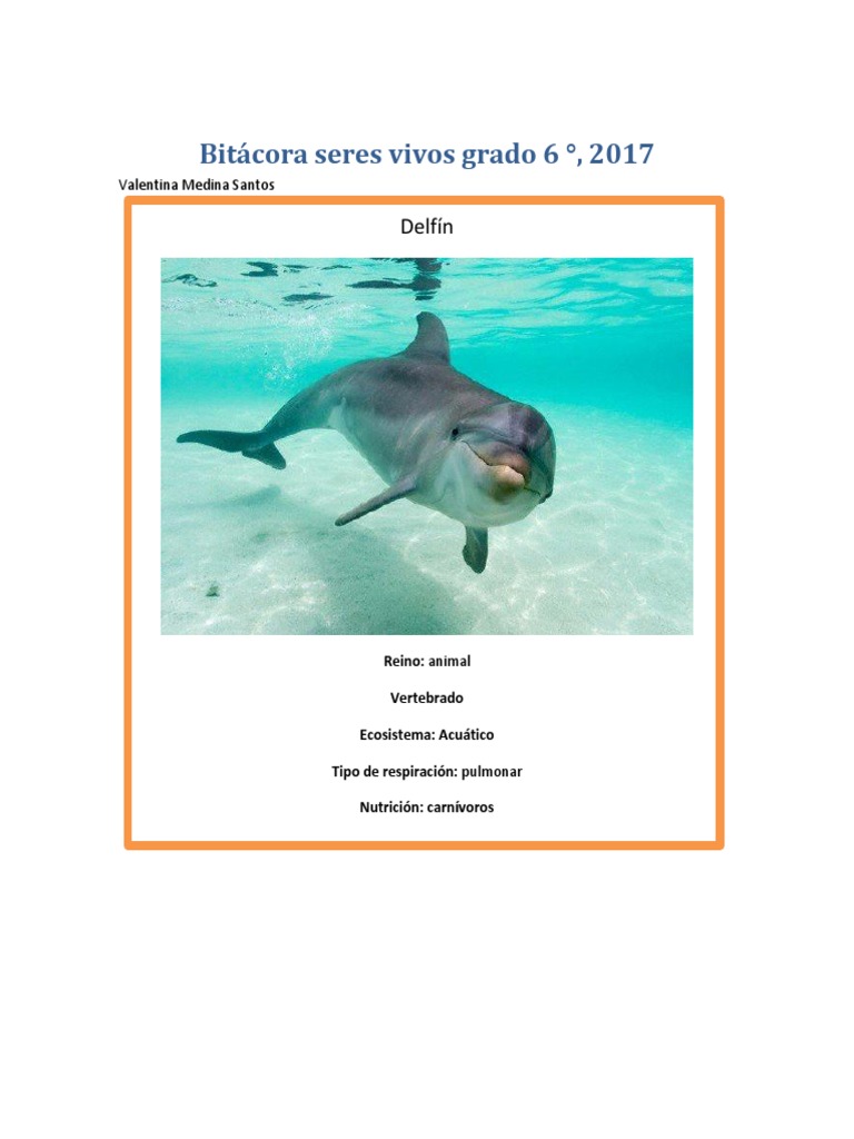 Bitácora Seres Vivos Grado 6 | PDF