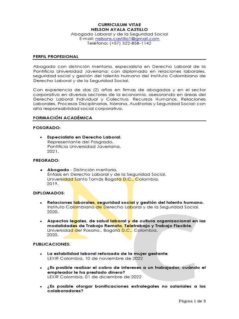 CV Nelson Ayala FHSC 2023 | PDF | Derecho laboral | Relaciones laborales