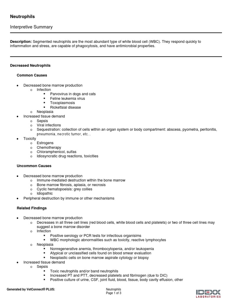 8964 Us Neutrophils Interpretive Summary | PDF | White Blood Cell ...