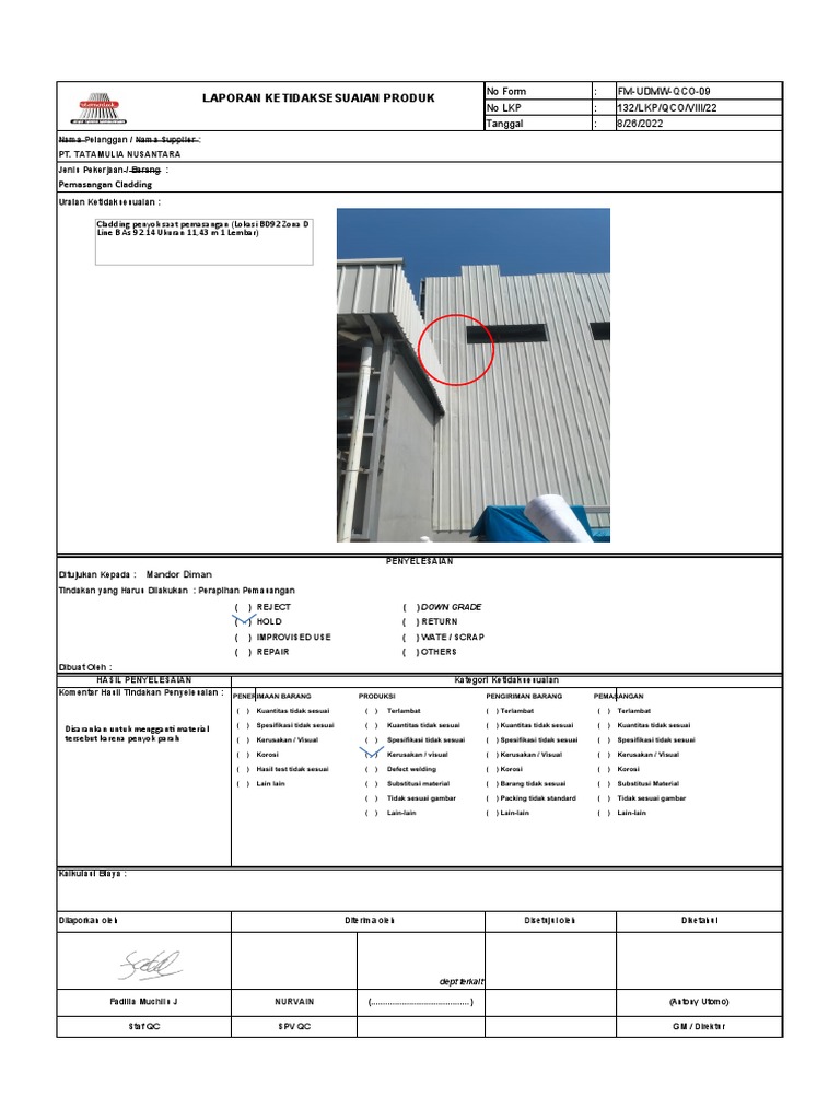 Cladding Defect Report | PDF