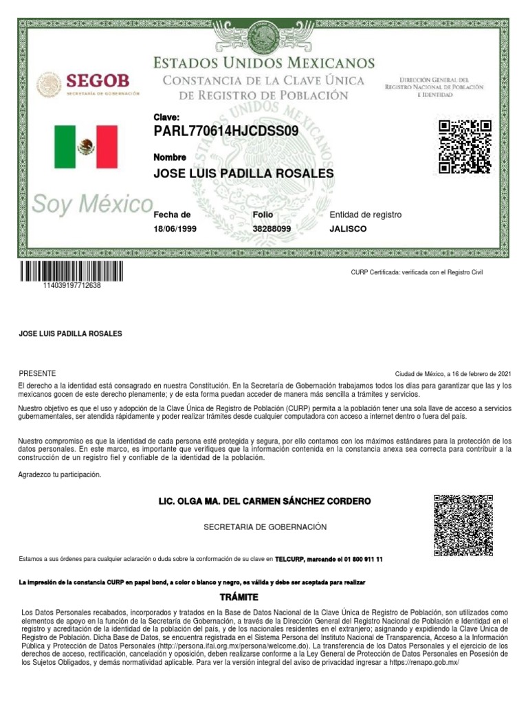 Documentos Jose Luis Padilla Rosales | PDF | Gobierno