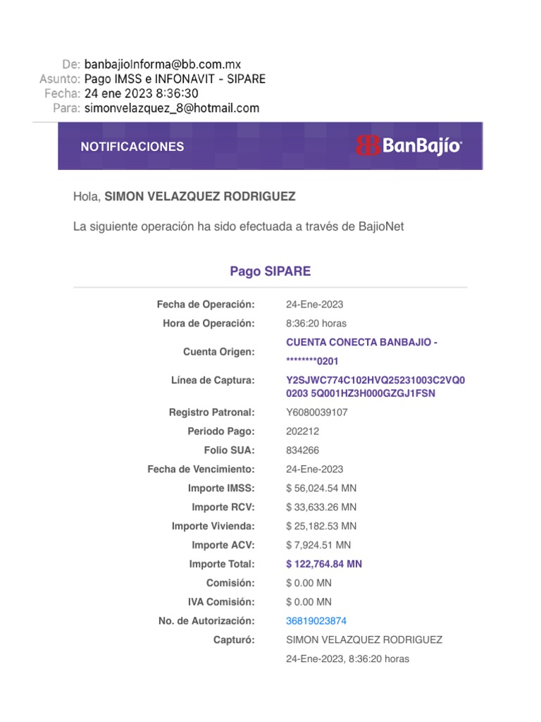 Pago IMSS e INFONAVIT - SIPARE 5 | PDF