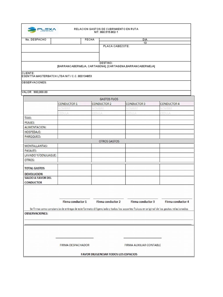 Formato de Despacho | PDF