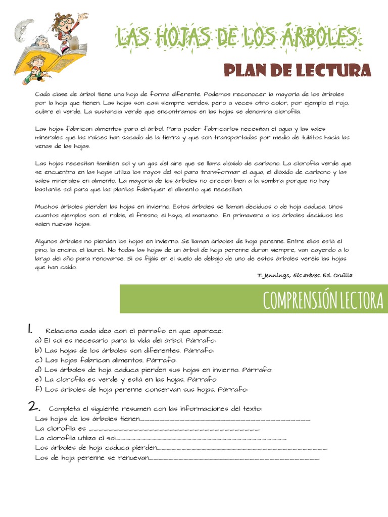 Lectura 1. Las Hojas de Los Árboles | PDF | Hoja | Arboles
