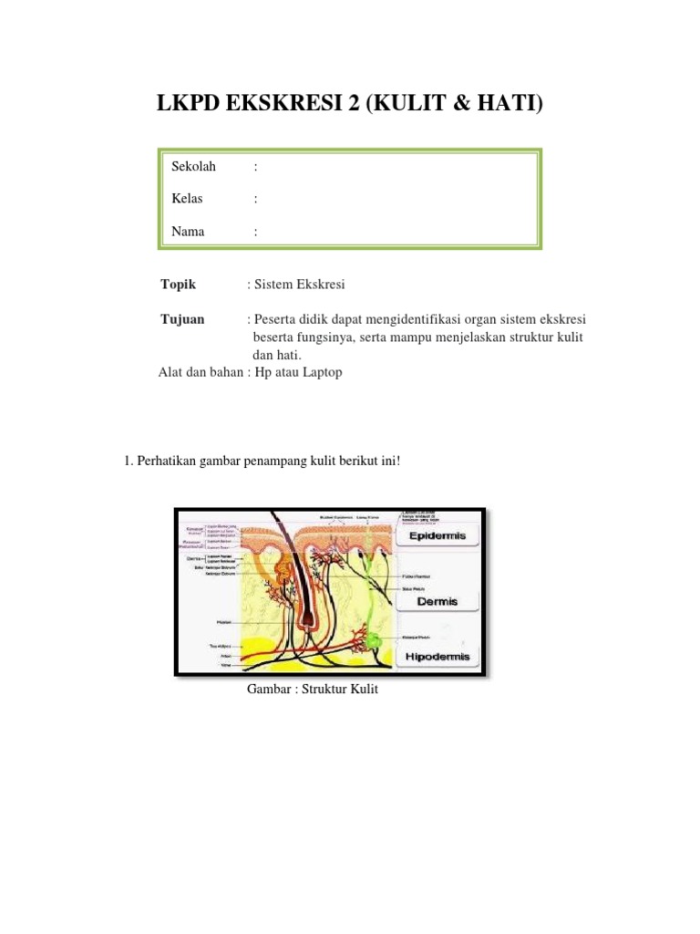 LKPD Ekskresi 2 | PDF