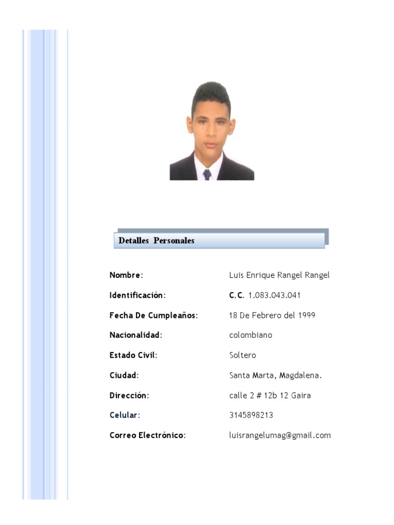 CV - Luis Rangel | PDF