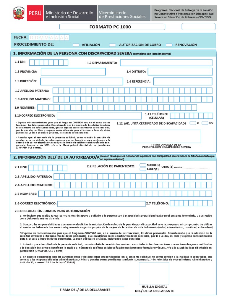 Formato PC 1000 - 2021 PDF | PDF