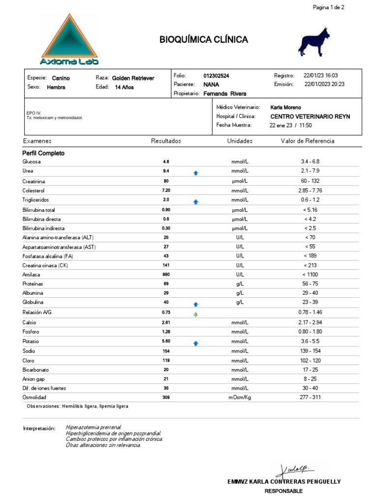 Resultados de Estudio de Sangre de Perro (Ejemplo) | PDF ...