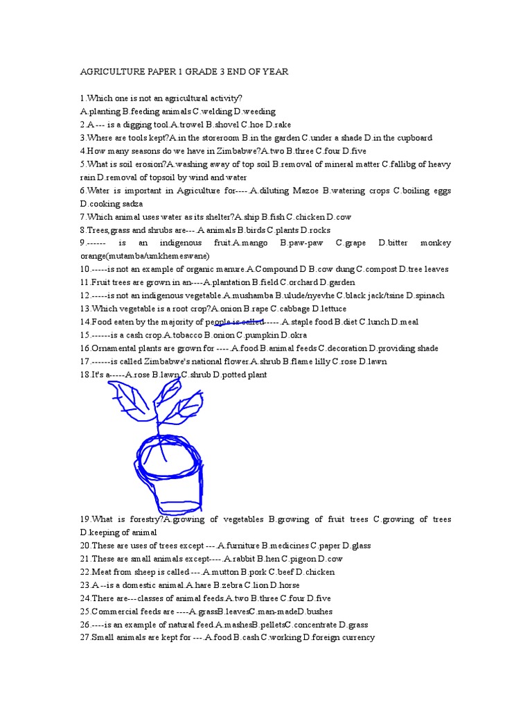 Grade 3 Agriculture Exam Questions | PDF | Manure | Beekeeping