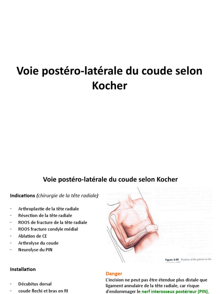 Kocher Manöver Anatomie _ Embryologie und Anatomie des Pankreas – ELARUQ