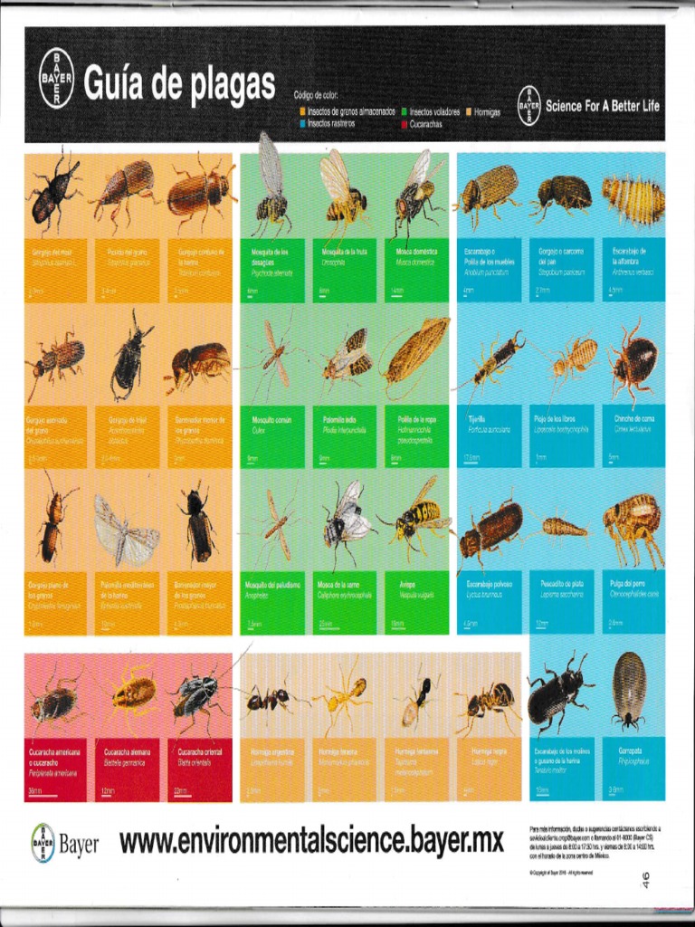 Guía de Tipos de Plagas | PDF